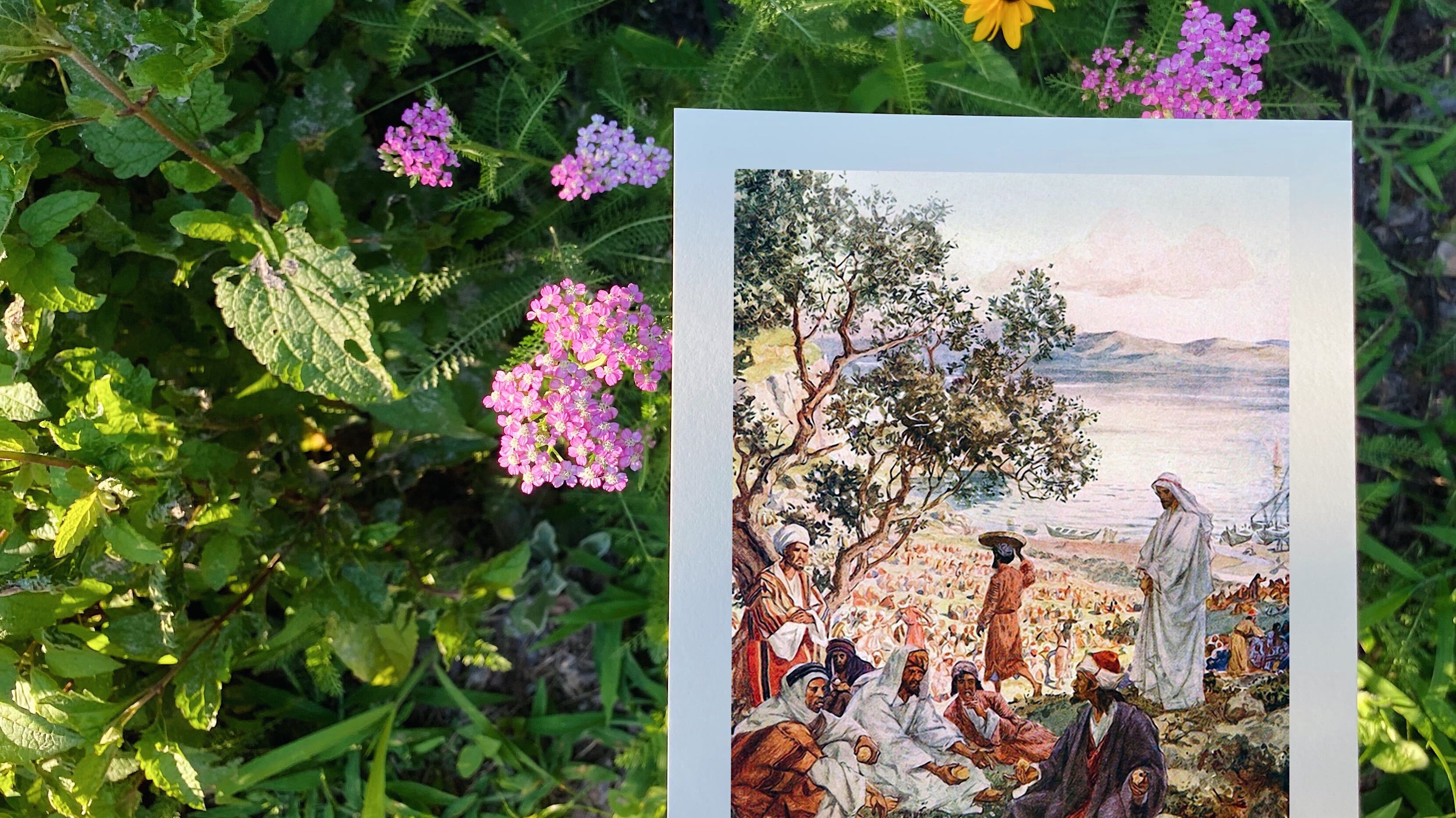 Christ our “Providence”