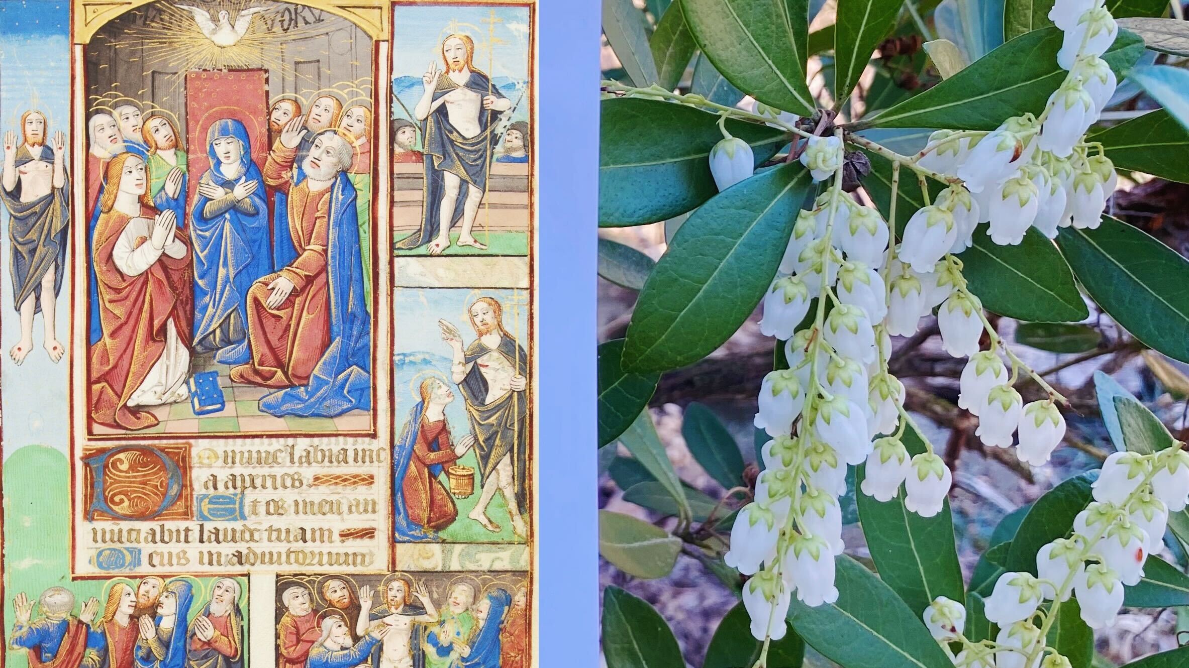 They will, and will not, “come”