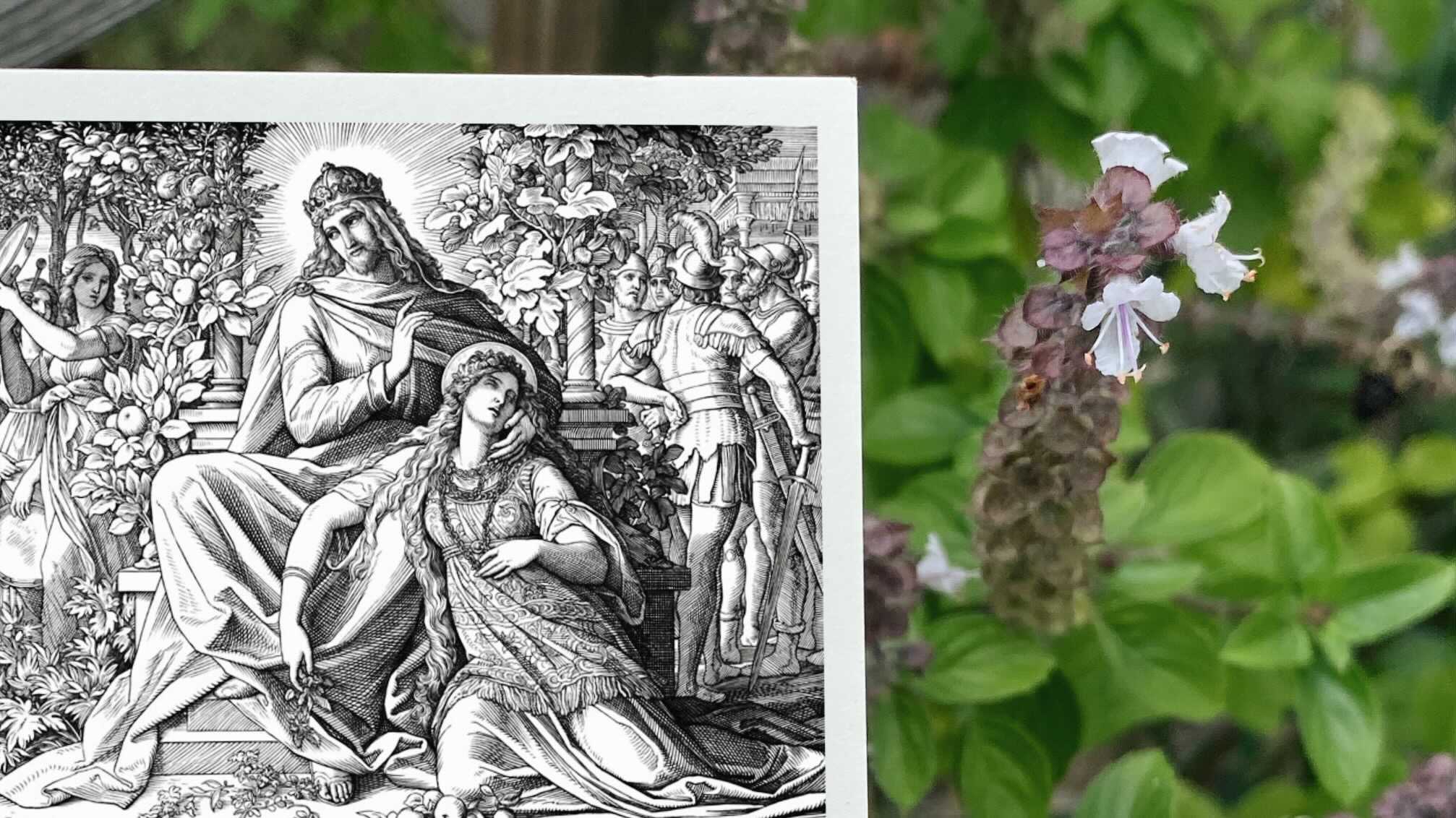 Christ, the Power of God, and the Wisdom of God