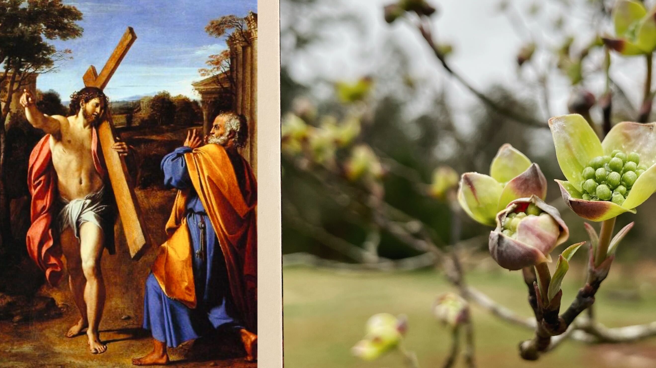 The Cross—The Master