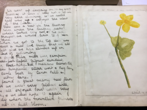 Supplies for Nature Notebooking