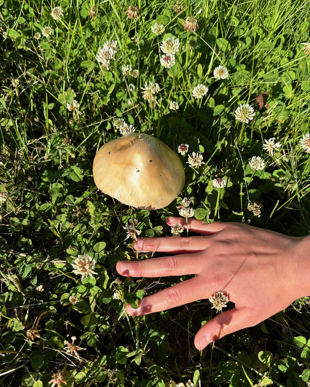 CMP Review 2024-07-05