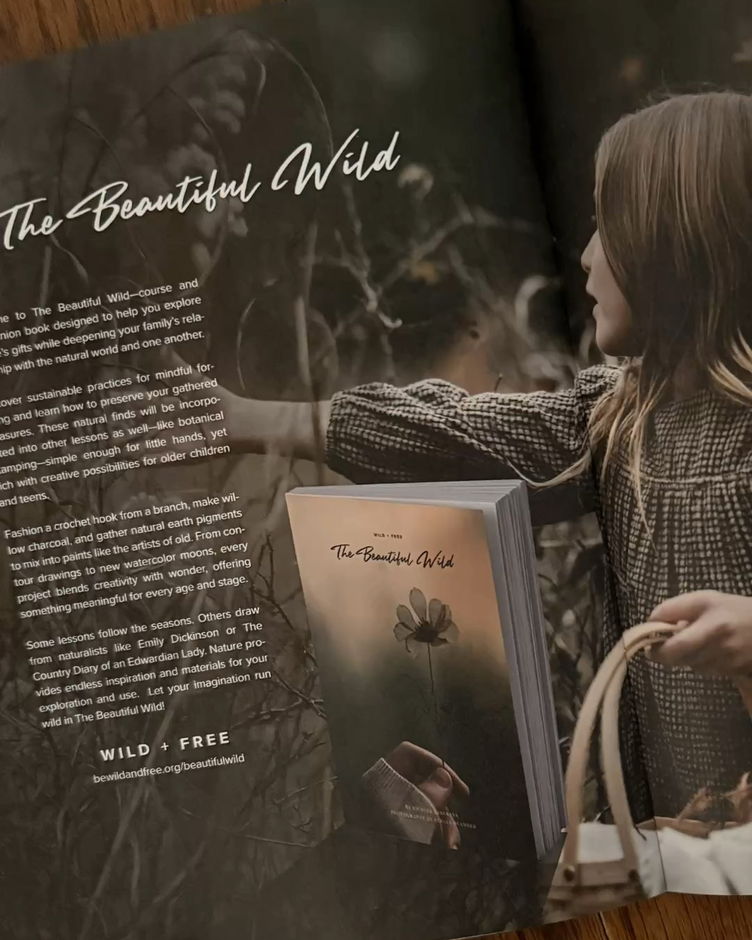 The CMP Review — Week of September 1