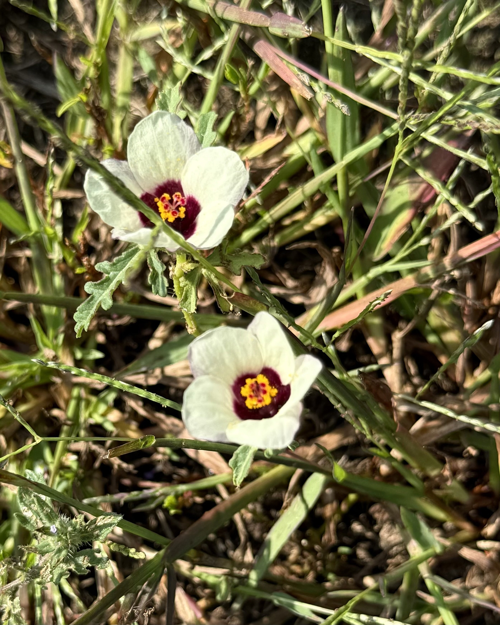 CMP Review 2025-09-17