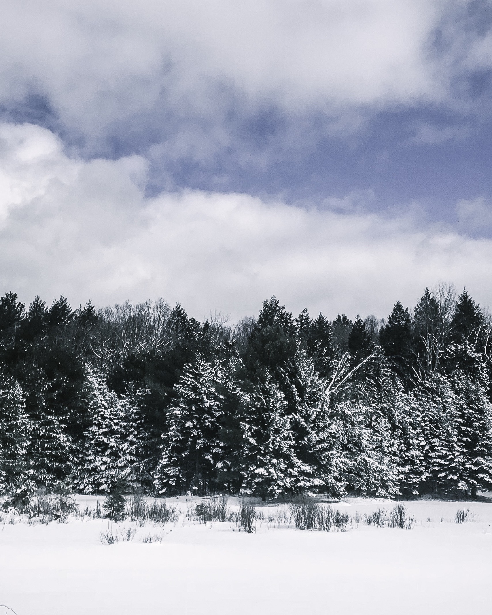 CMP Review 2025-12-24