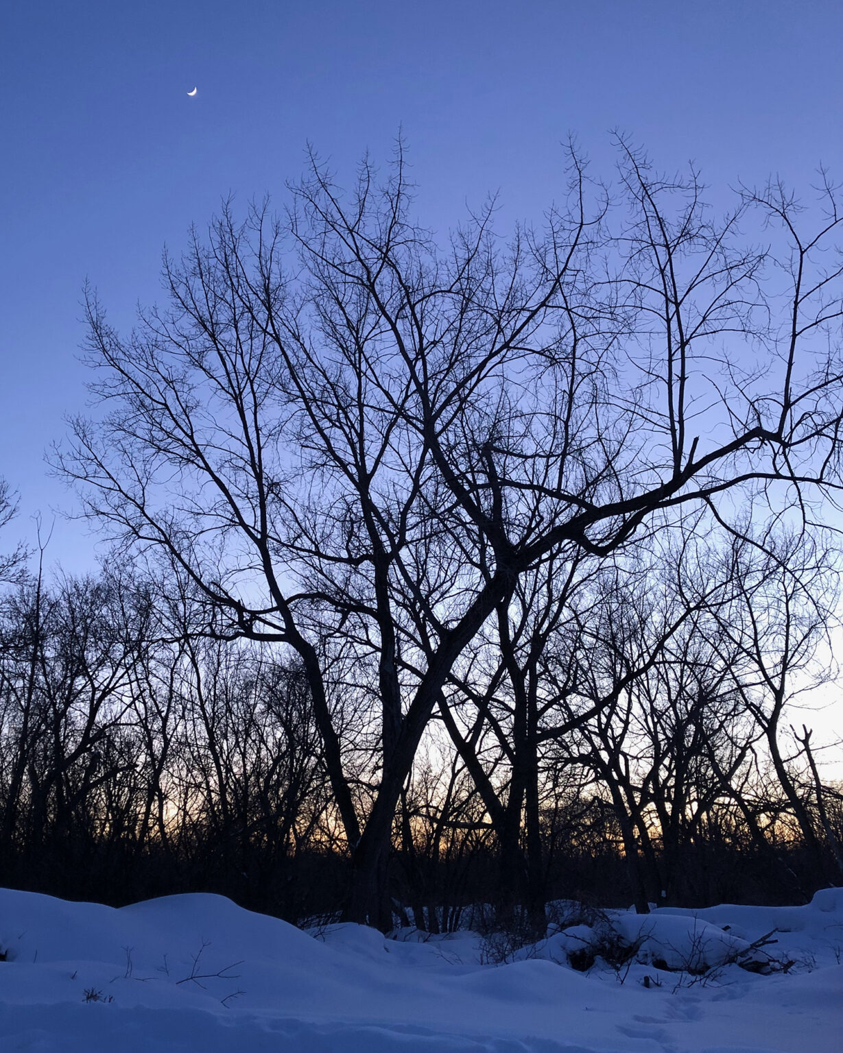 CMP Review 2025-12-26