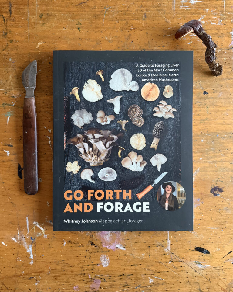 CMP Review 2026-01-07