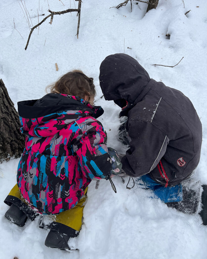 CMP Review 2026-01-23