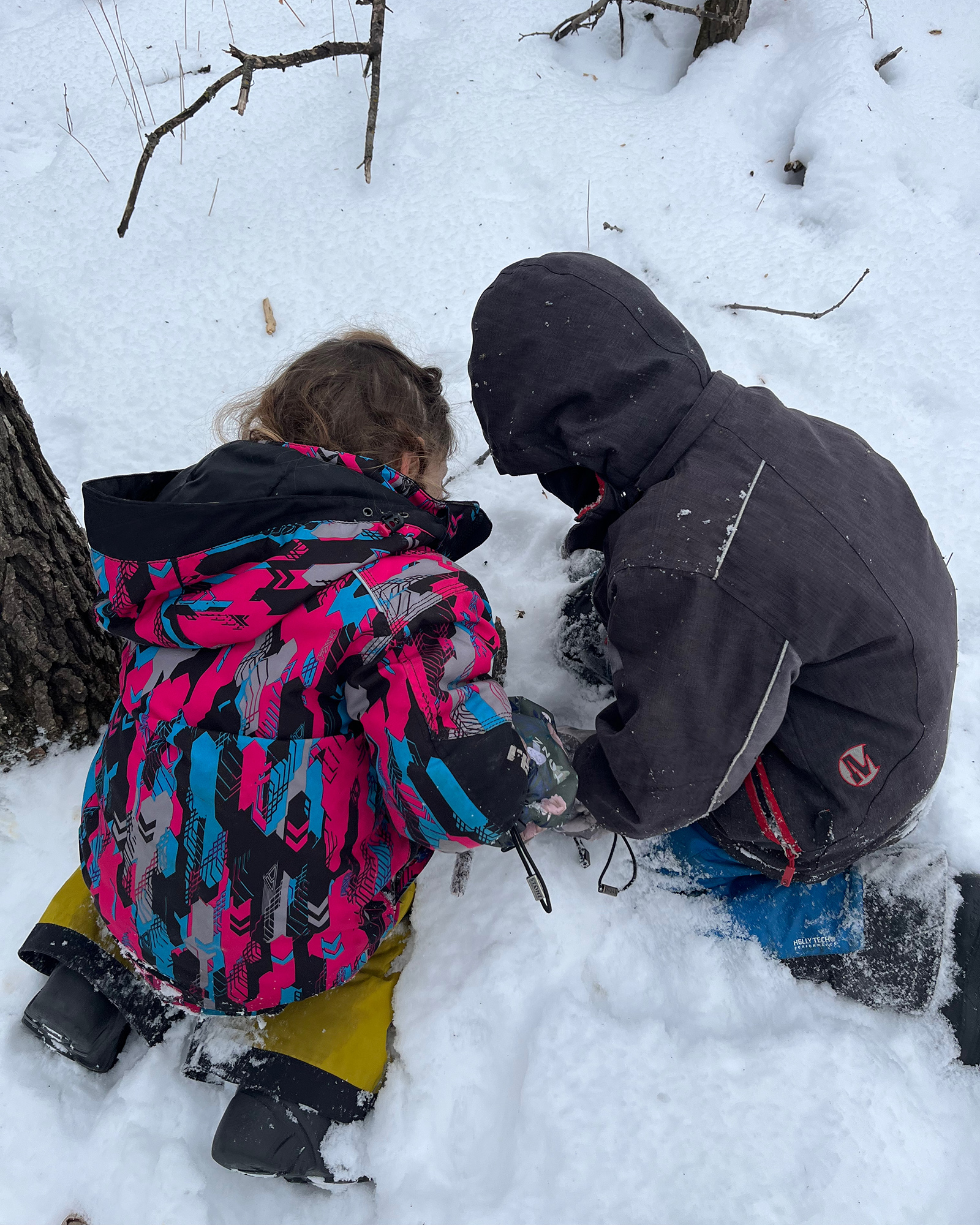 CMP Review 2026-01-23