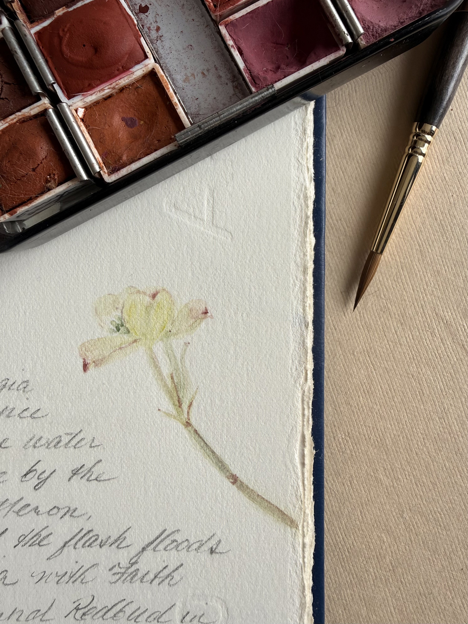 CMP Review 2026-03-04